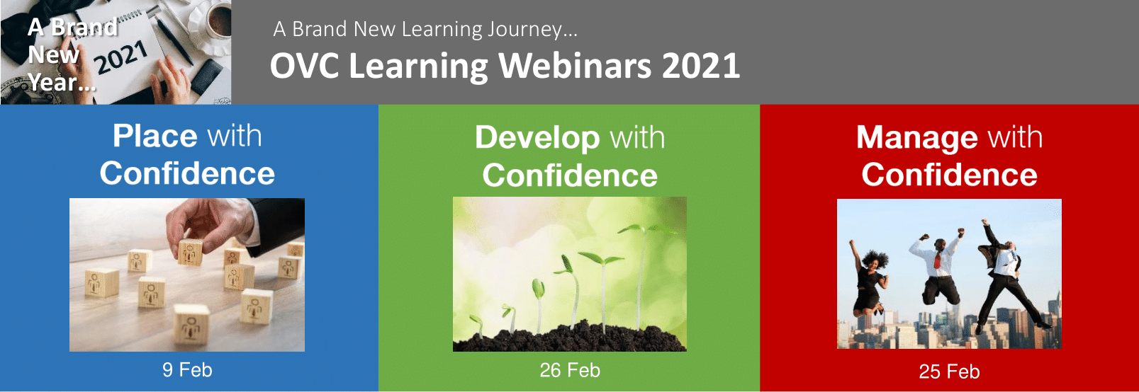 Omni View Consulting - OVC